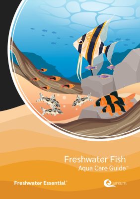 Guides & Logbooks - Quantum Aqua