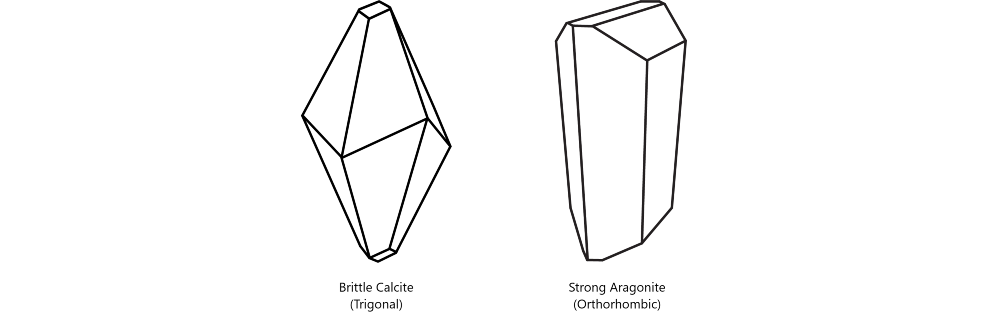 "The Science Behind Aragonite: How it Enhances Coral Growth and Resilience"